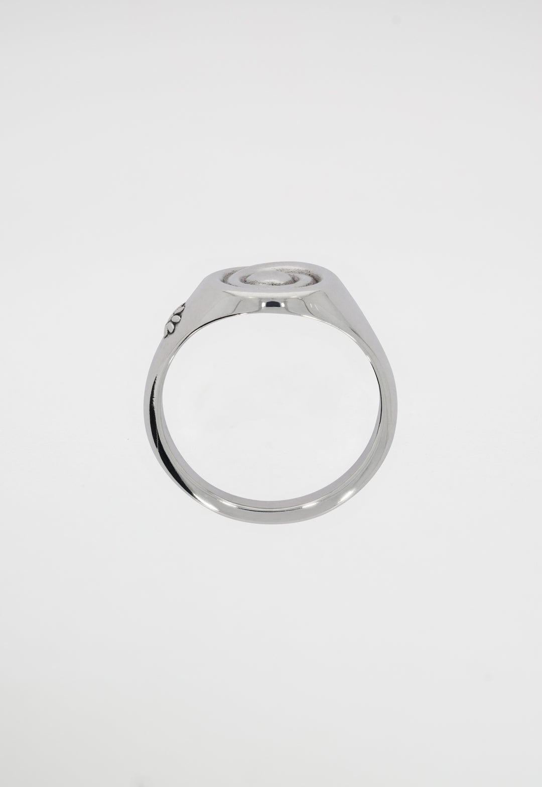 Snail | Alec Doherty